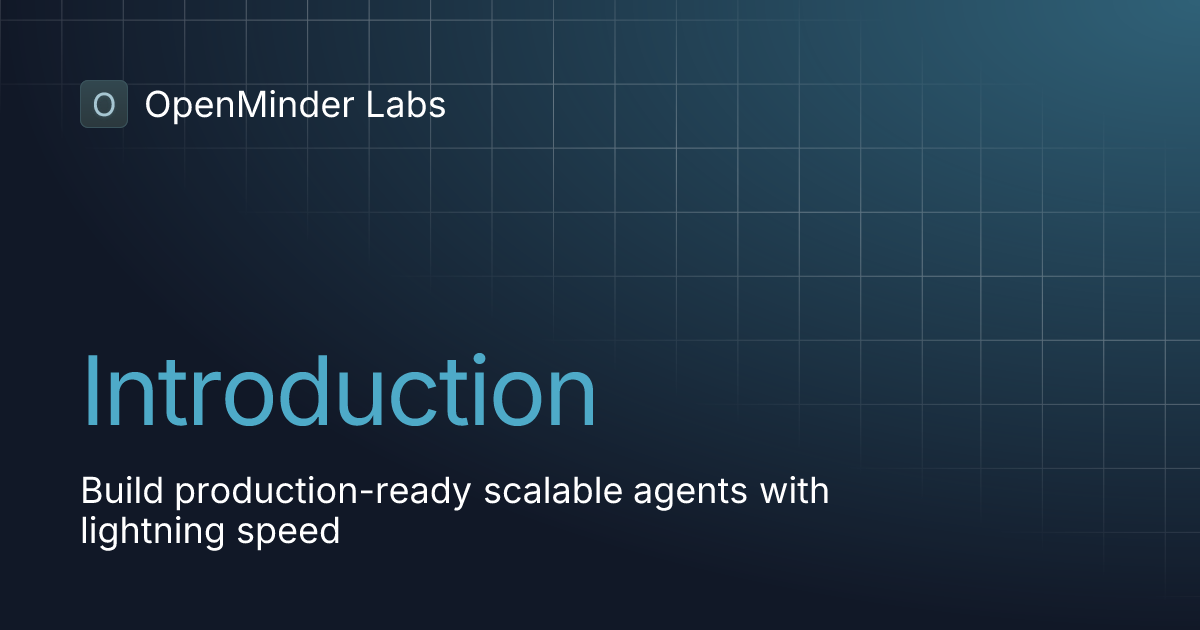 Introduction | OpenMinder Labs